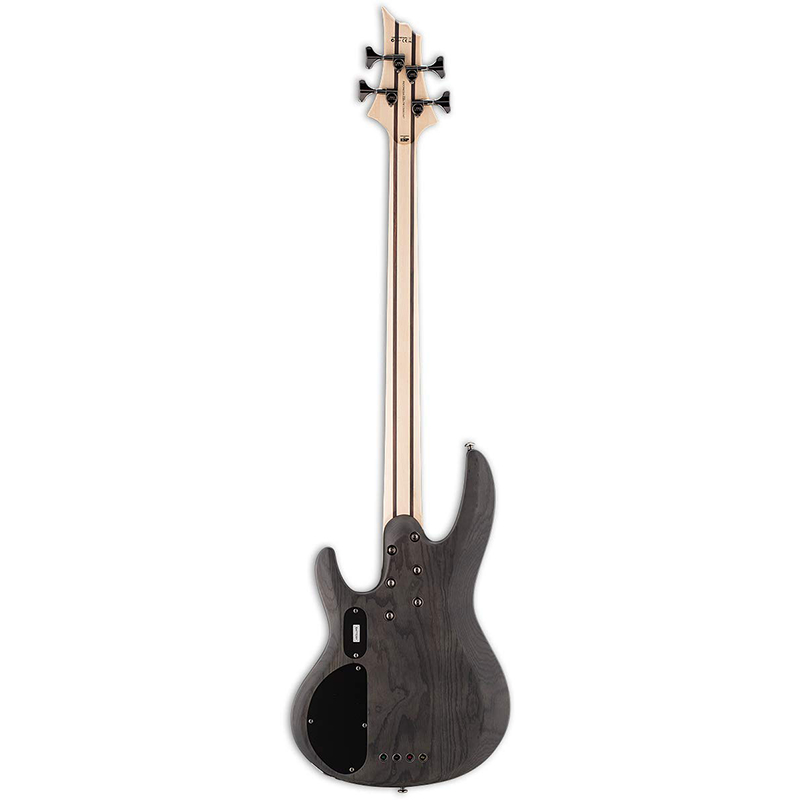 LTD B-204SM Spalted Maple Bass Guitar – Music Gallery